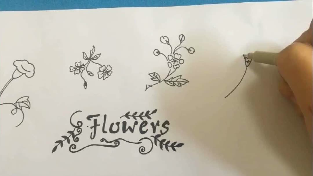 植物简笔画:可爱的植物手帐简笔画,宝妈学会了它,拿来教宝宝画