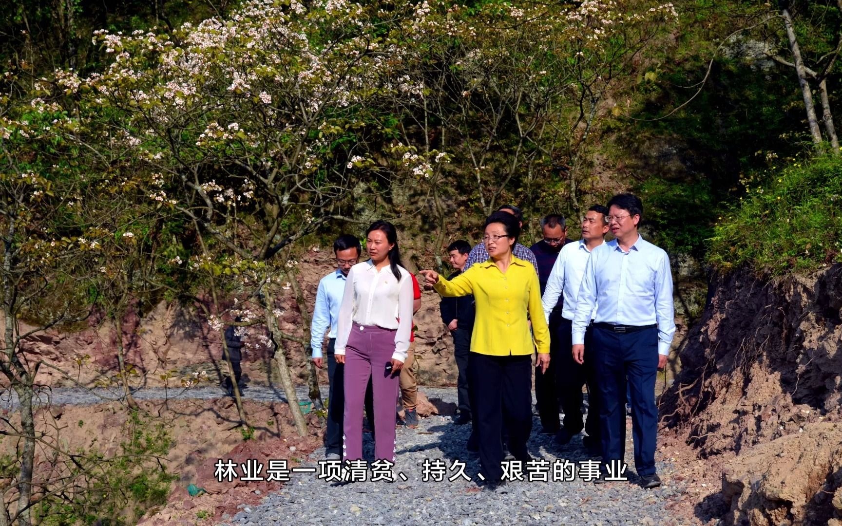 文明筑梦绘丹青——湘西林业局创建省级文明单位工作纪实