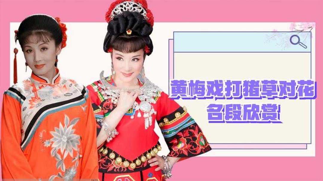 黄梅戏《打猪草对花》:杨俊吴琼大展身手,还是韩再芬人美戏甜