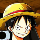 硫酸zw 
