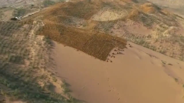 心寒!中国辛苦治沙30年,将沙漠变绿洲,如今却迎更大威胁