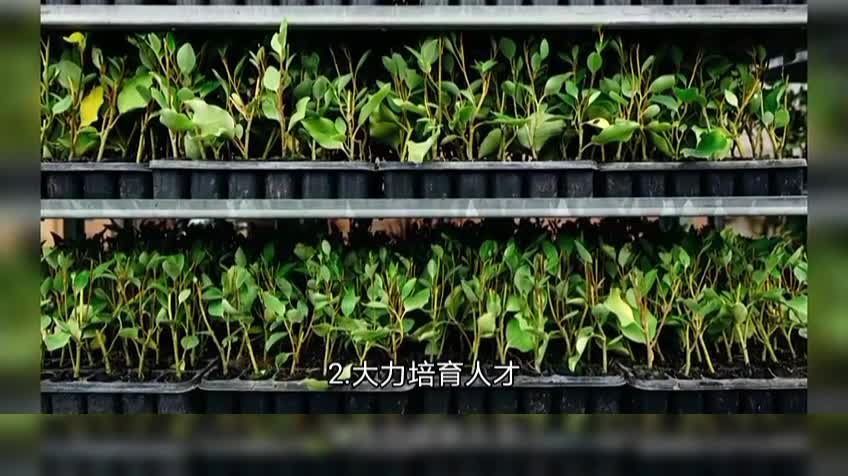 如何轻松写好工作报告中的各级标题