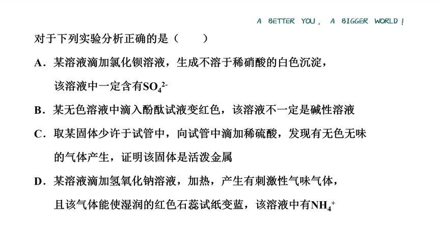 化学实验方案设计中的离子检验-6