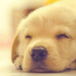 传奇手游推荐战天 