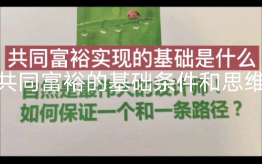 实现共同富裕的基础条件和思维路径