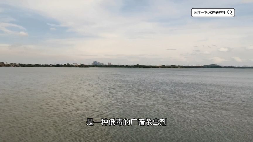 杀虫药要慎用!为您详解敌百虫详细用法用量