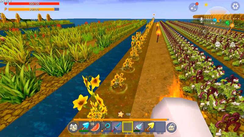 迷你世界:我要在家门口种植很多植物 到时候我就可以制作食物