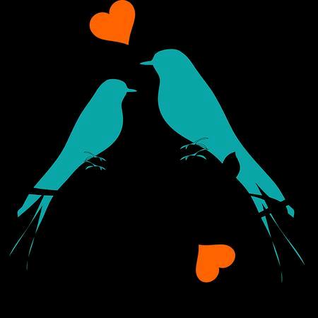 燕子的搞笑笔记 