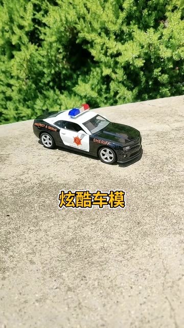 这么帅的警车模型你喜欢吗?