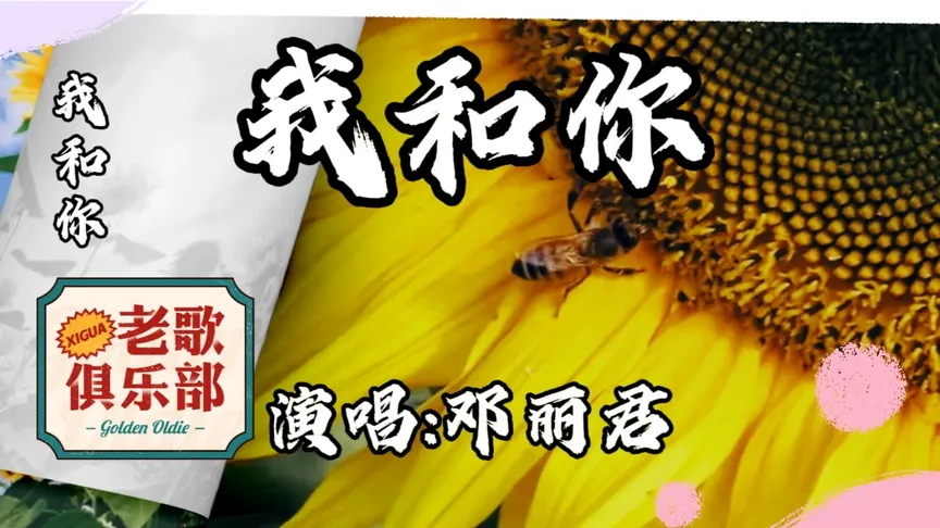 邓丽君经典老歌《我和你》歌声优美动听,令人陶醉#西瓜影音