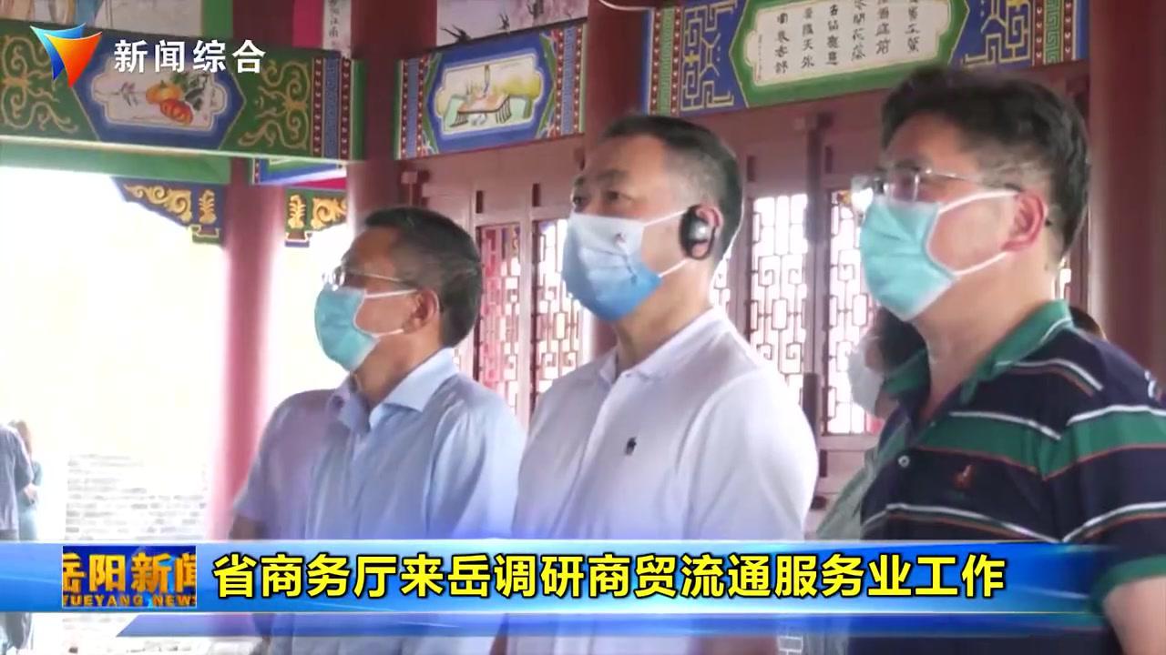 省商务厅来岳调研商贸流通服务业工作