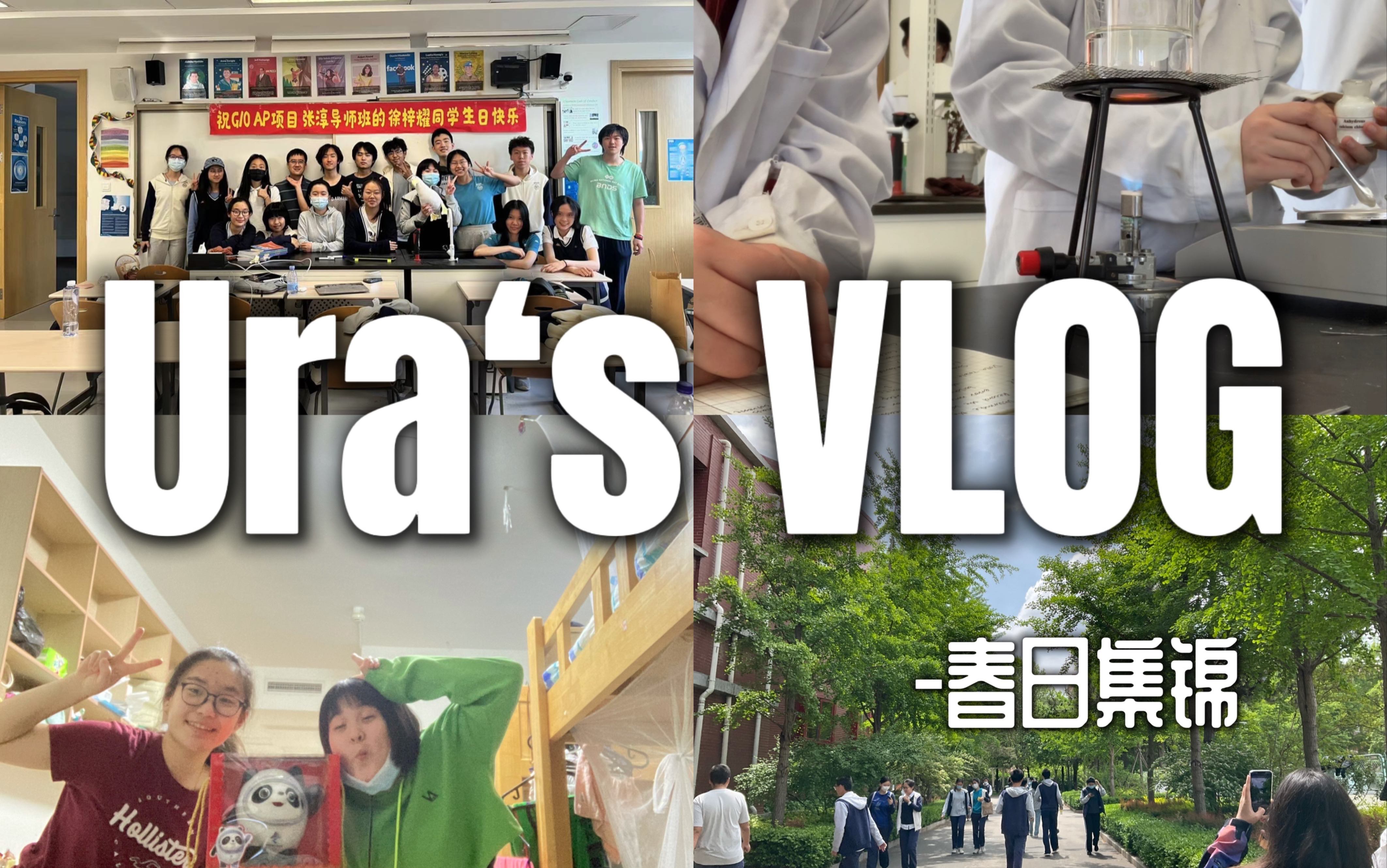Ura‘s VLOG|北京十一学校国际部高一下春日集锦|化学实验|物理实验|...