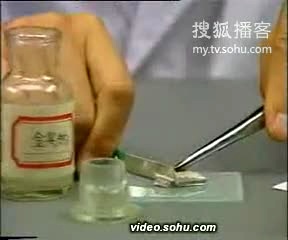 钠在氯气中燃烧