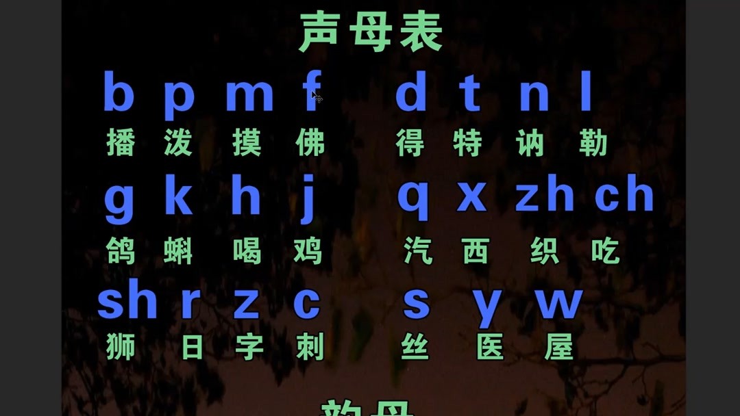 零基础拼音打字快速入门教学,看这里零基础学好拼音字母表!