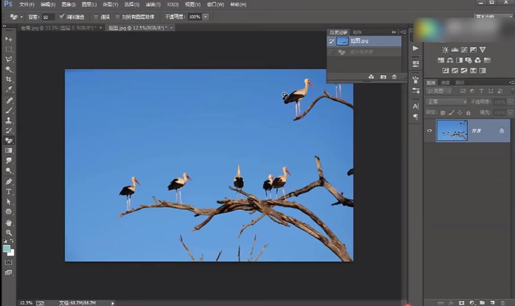 一键抠图技巧——PS教程