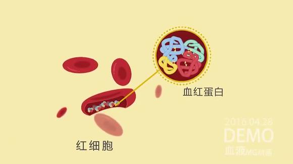 医学科普动画:3分钟看懂血液中的各种成分