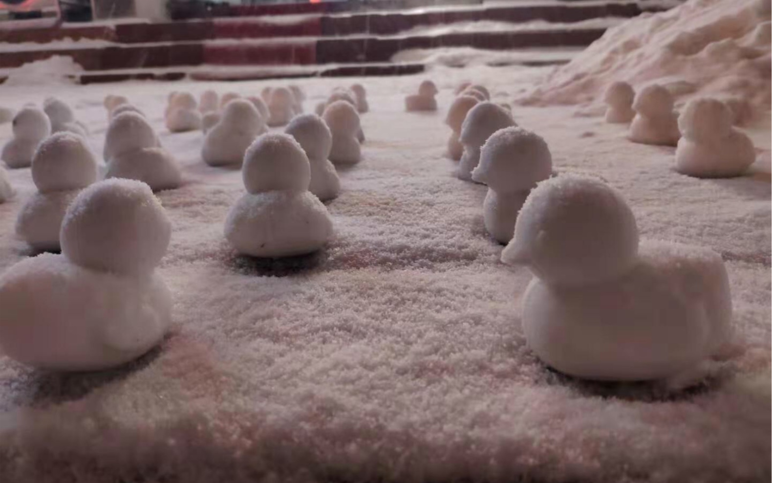 【期末复习计划】Day 4