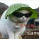 江苏小云 