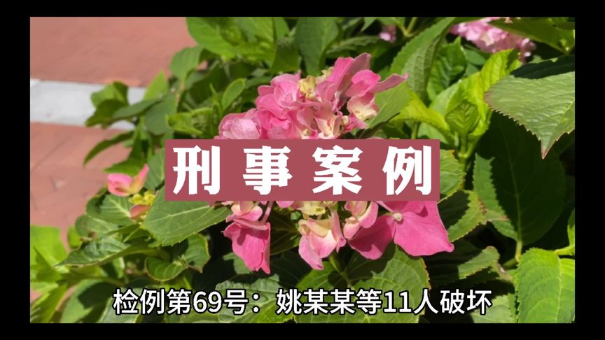 检例第69号:姚某某等11人破坏计算机信息系统案