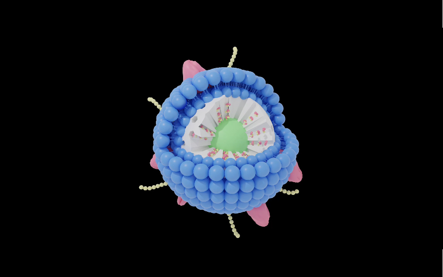 【blender科研绘图】基础篇-细胞膜包裹材料模型