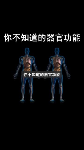 通过心脏的舒张和收缩