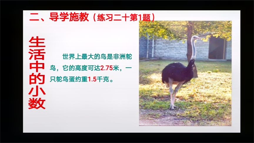 三年级数学下册小数的初步认识