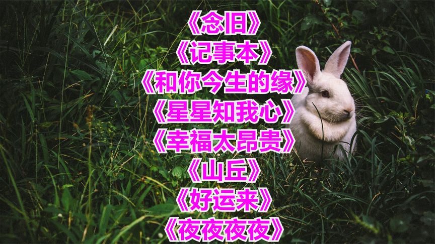 {念旧}{记事本}{和你今生的缘}{星星知我心}{山丘}