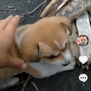 LED实习两年半坤坤 