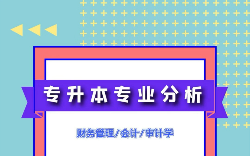 2024年河北专升本专业分析-财务管理,会计学 审计学