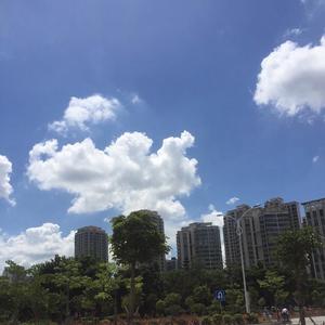 亦世凡华 