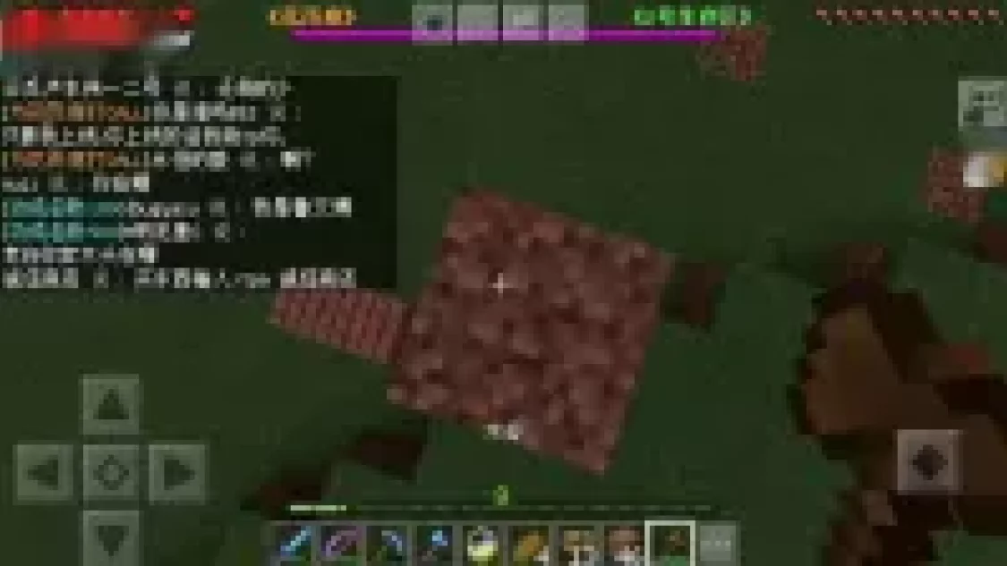 手机版我的世界花雨庭生存服圈地教程