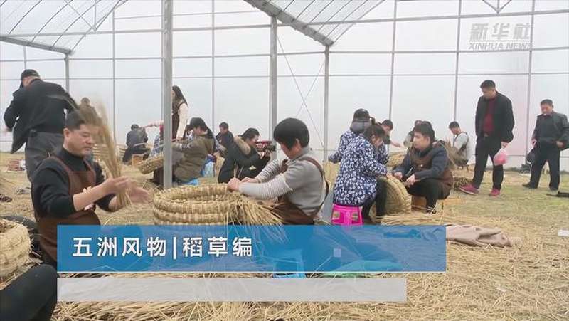 五洲风物|稻草编