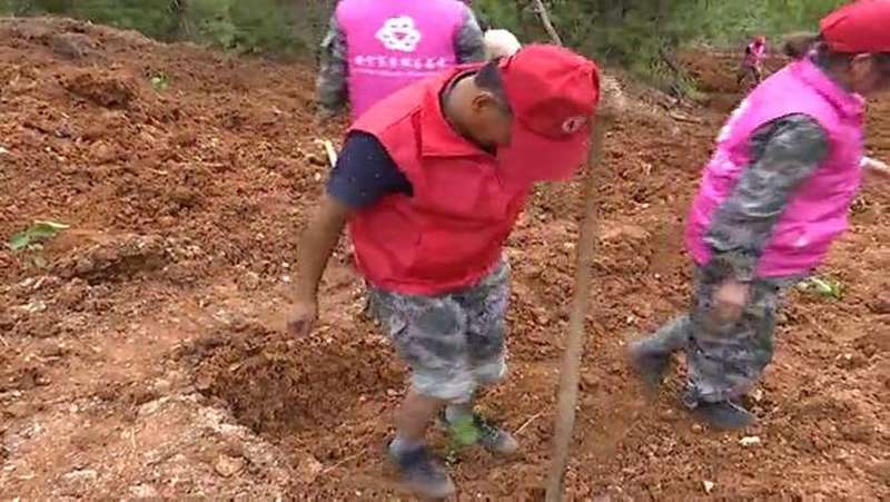青龙哨村义务植树以实际行动践行新时代文明