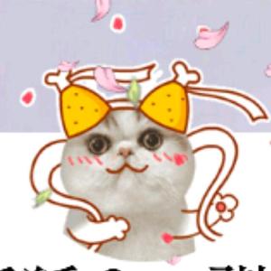 小呆呆 