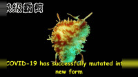 科学家表示很头疼,变异后的新冠病毒长这样啊