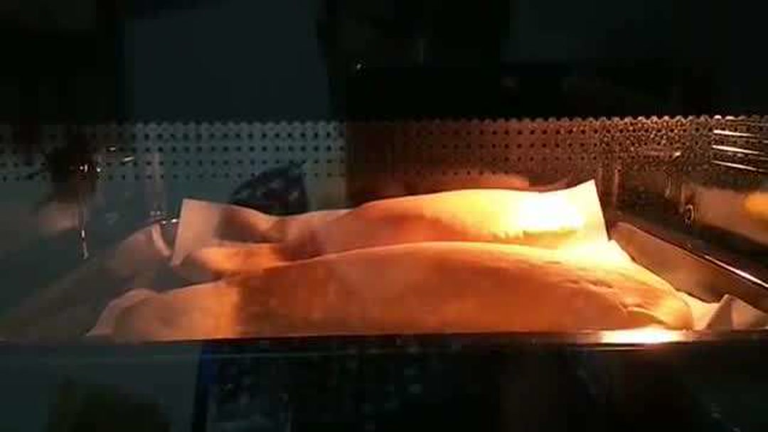 口袋面包成长记:神奇的酵母作用