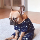 猪猪女孩的影视小天地 