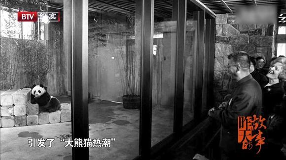1972年中国赠送美国大熊猫,在华盛顿引起“大熊猫热潮”