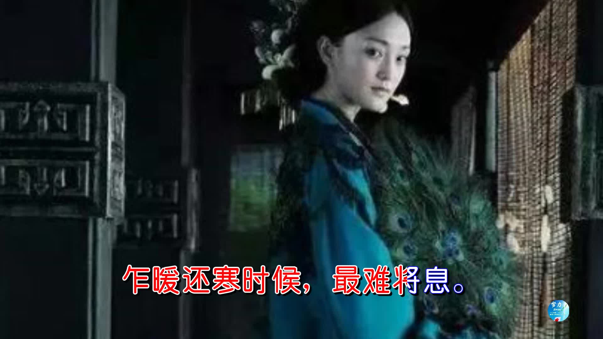 【宋词三百首】《声声慢》李清照 视频朗诵(愁苦欲绝 凄凉之至)