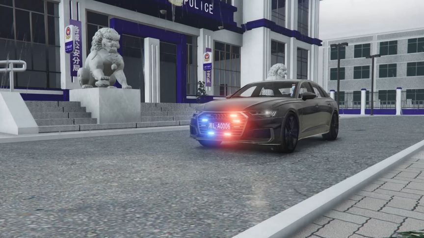 #热门 日常模拟警察任务