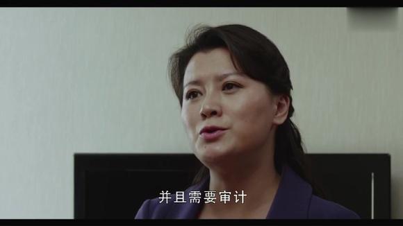 国家审计:姜惠贞从喝醉酒的靳云中得知,万源真正的老板是谁