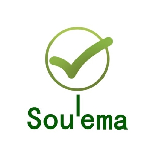 Soulema大师AI剪辑工具 