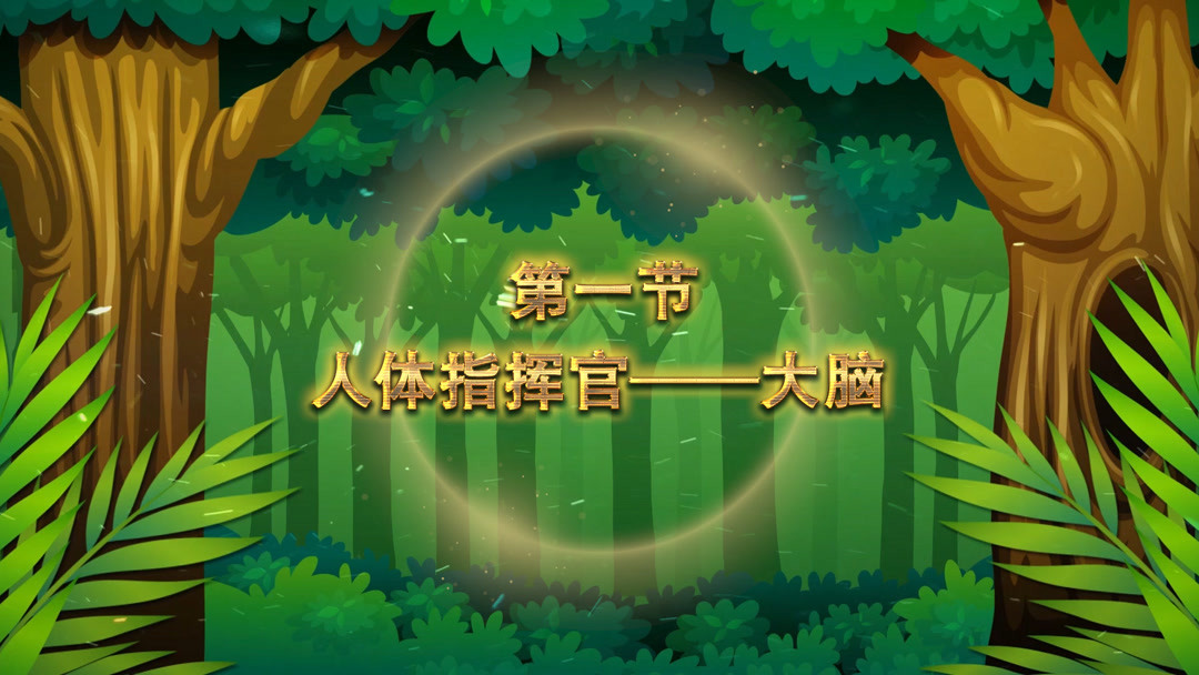 第一节:人体指挥官——大脑