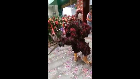 鸡,鸡,鸡,鸡,duang.咕咕咕～