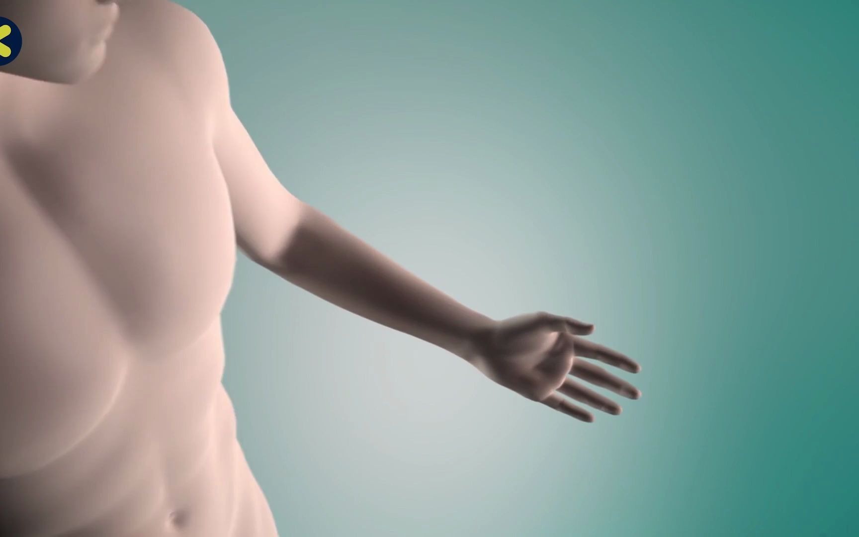 人体受伤后伤口是如何愈合的?3D动画模拟其过程,实在太壮观了!