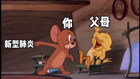 猫和老鼠:不管我怎么和父母说要多注意,他们就是不信这么严重
