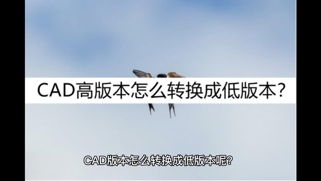CAD高版本怎么转换成低版本?推荐这个方法