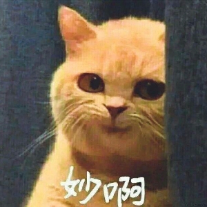 沙雕动画老云 