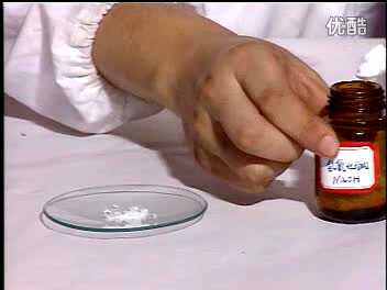 氢氧化钠的化学性质