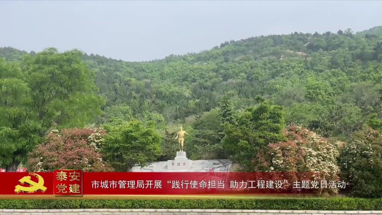 泰安党建丨"在路上"的主题党日,挺好